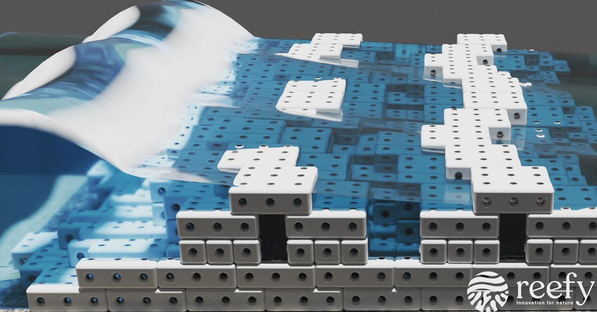 Reefy Numerical Modelling | IMDC